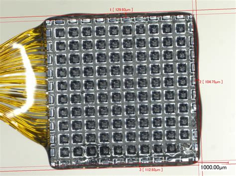 Utah Array Electrodes Products Blackrock Neurotech
