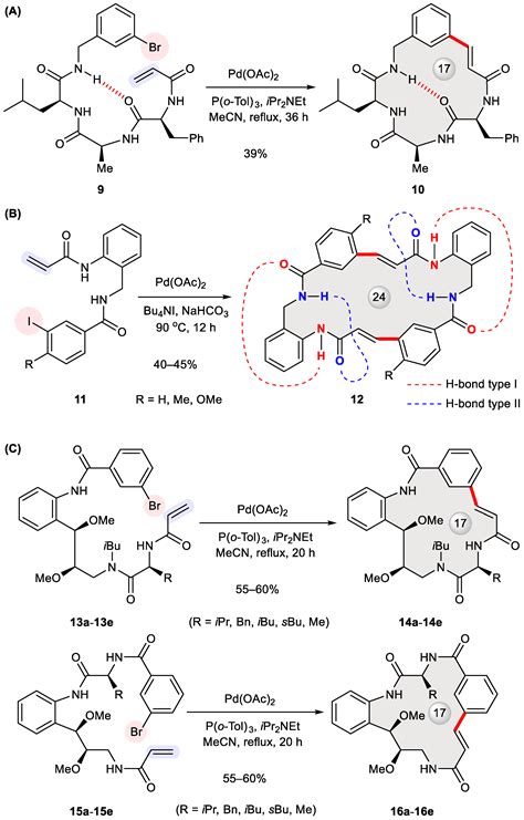 Heck Macrocyclization In Forging Non Natural Large Rings Including Macrocyclic Drugs