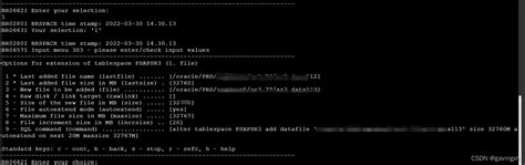 sap brtools 扩展表空间 sap tablespace brtool csdn博客