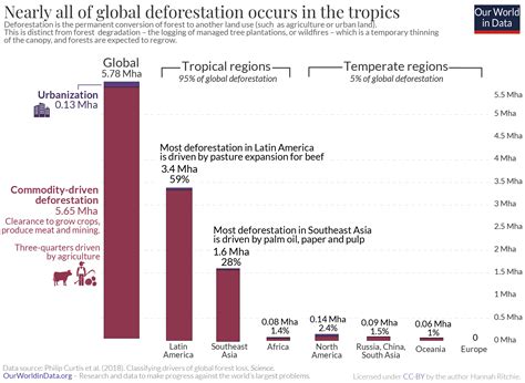 Deforestation And Forest Loss Our World In Data