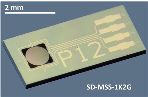 Nec Uses Membrane Surface Stress Sensors Mss For Measuring Device