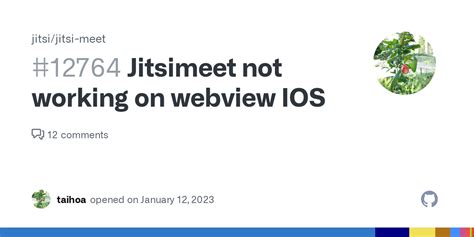 Jitsimeet Not Working On Webview Ios · Issue 12764 · Jitsijitsi Meet