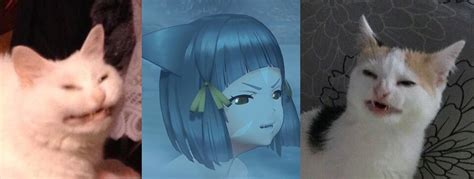 Confused Nia Xenoblade Chronicles Know Your Meme
