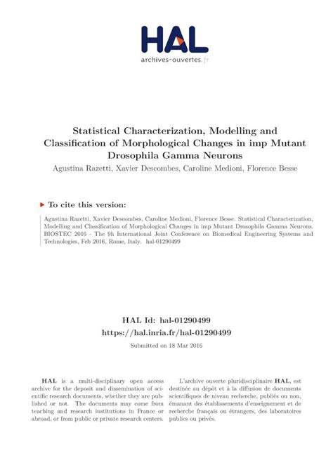 Pdf Statistical Characterization Modelling And Classification Of