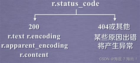 Python爬虫 爬虫介绍，实战案例python爬虫实战 Csdn博客