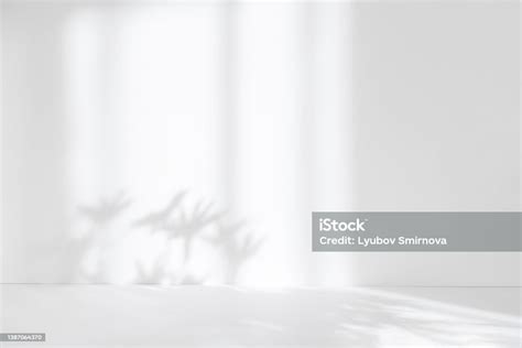 제품 프레젠테이션을 위한 추상적인 흰색 스튜디오 배경입니다 창문과 꽃과 야자수 잎의 그림자빈 방 복사 공간이있는 3d 룸 여름 콘서트 흐린 배경 그림자에 대한 스톡 사진 및