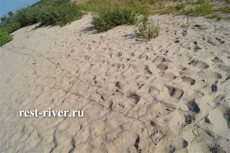 Что такое жаберные сети. Финка и китайка. ⋆ rest-river.ru