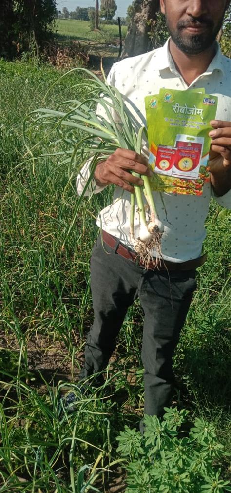 Field Activities Perfect Cropscience Pvt Ltd