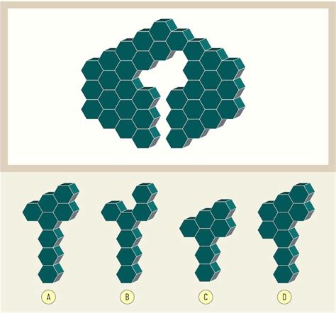premium vector mind game brain questions iq test visual intelligence
