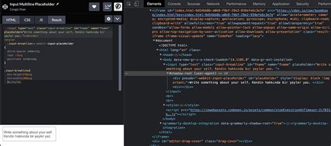 Creating Two Column Input Placeholders Sawacrow Medium