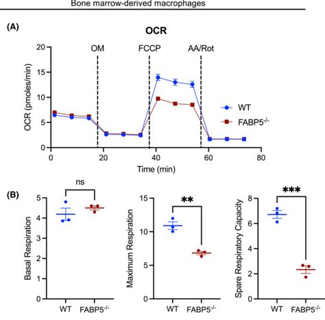 Macrophage Programming Is Regulated By A Cooperative Interaction