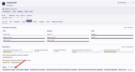 Metadata Enrichment Of All Telemetry Originating From Kubernetes Workloads — Dynatrace Docs