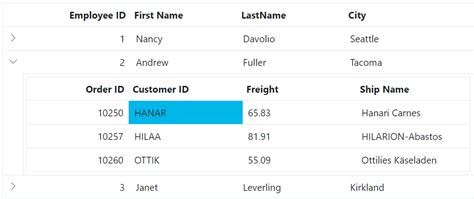 Detail Template In Blazor Datagrid Syncfusion