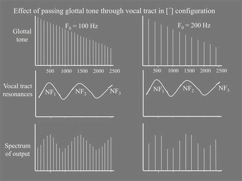 Ppt Acoustics Of The Vocal Tract Powerpoint Presentation Free