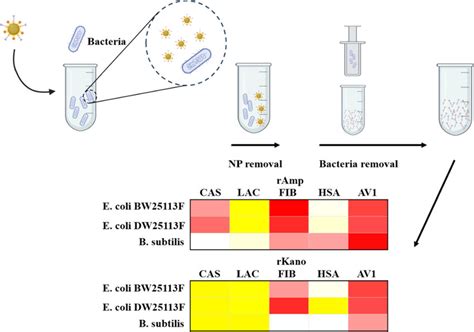 The Linear Discriminant Analysis Diagram Helps Detect The Kind Of Download Scientific Diagram