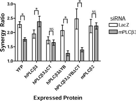 Binding Of Both G ␤␥ And G ␣ Q Contributes To The Synergistic