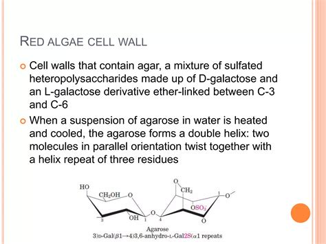 Chemistry And Structure Of Polysaccharide Ppt