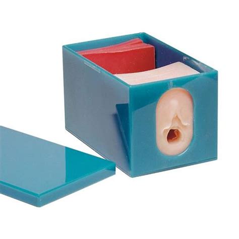 Fetal Monitoring And Labor Progress Model Set 1005579 W43045 79851 Obgyn Simulation