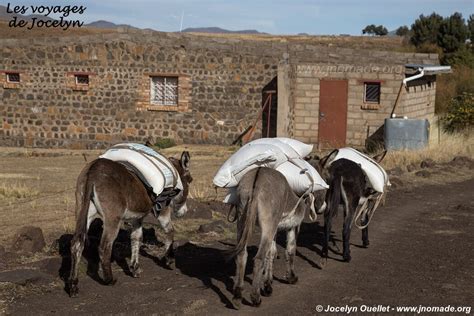 Semonkong Cape Town To Tanzania Jnomade