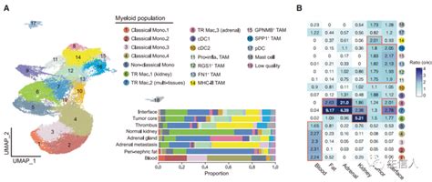 Sci 热门分享 单细胞转录组联合空间转录组 知乎