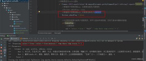 springboot自定义mybatis拦截器实现扩展功能 比如数据权限控制 springboot 模拟分页拦截器增加额外信息 csdn博客