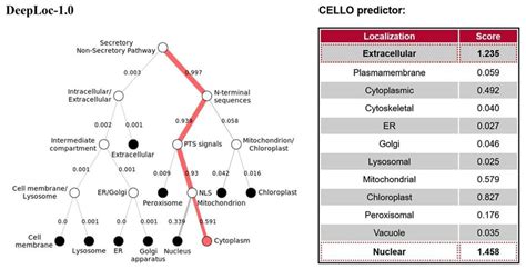 Prediction Of Pspcp Subcellular Localization Using Deeploc 10 And