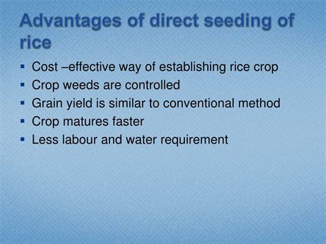 PPT - Direct Seeding of Rice PowerPoint Presentation, free download ...