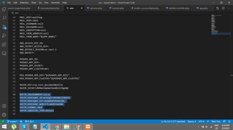 Paytm Payment Gateway Integration In Laravel 8 Codehunger Blog