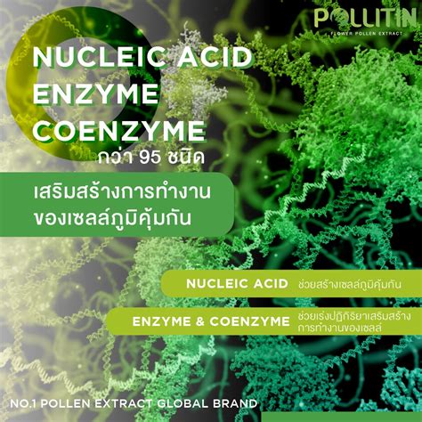 ผลิตภัณฑ์พอลลิตินดูแลสุขภาพโรคร้าย Nucleic Acid Enzyme และ Coenzymes