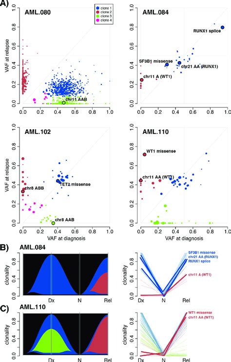 Assessment Of Clonal Structure In Aml Using Superfreq A Clone Download Scientific Diagram