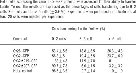 Functionality Of Cx Gfp Chimeric Proteins Download Table