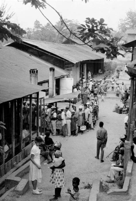 玉川豆知識 No 176｜玉川学園について｜（学）玉川学園