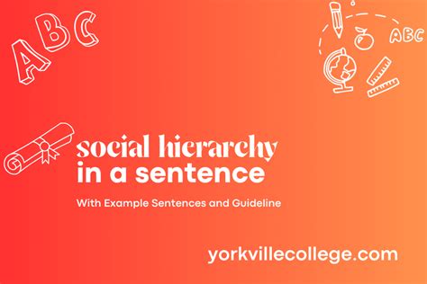 How To Use Social Hierarchy In A Sentence Easy Examples