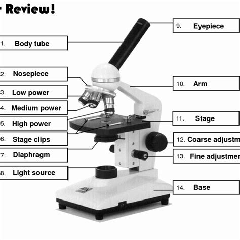 Binocular Microscope Sketch At Explore Collection