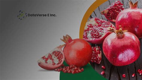 Best Selling Items To Import From China To India