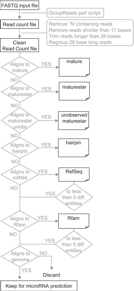 general workflow of miranalyzer the fastq file is transformed into a