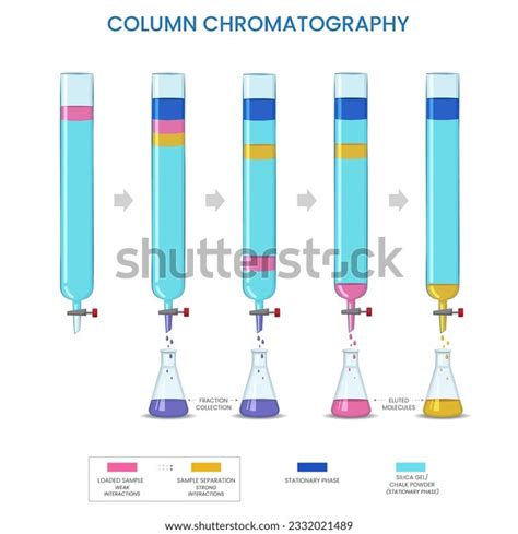 Column Chromatography Pre Lab At Rocio Wilds Blog