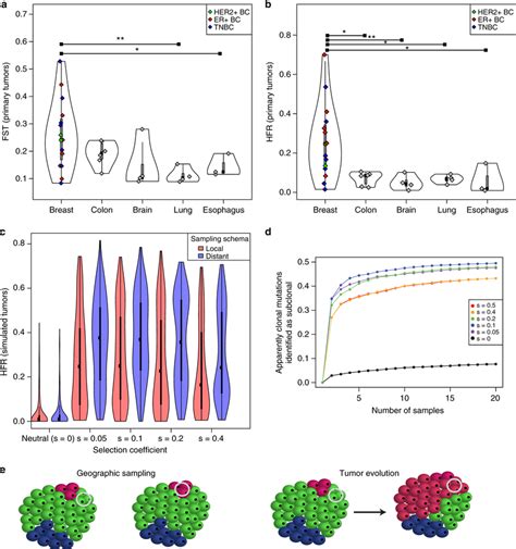 Intra Tumor Heterogeneity Of Untreated Primary Breast Tumors A Average