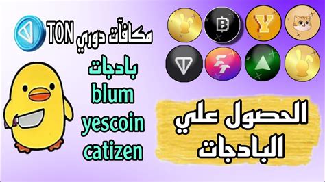 تفعيل البادجات علي دوري Ton بادج Blum 🔥 الموسم السادس Youtube