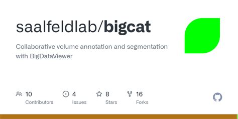 Github Saalfeldlabbigcat Collaborative Volume Annotation And