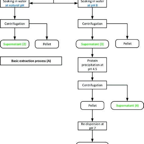 A Schematic Diagram Of The Pea Treatment Timeline Diagram Board