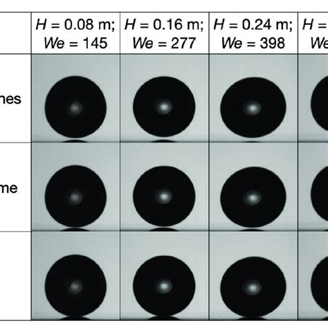 Examples Of The Output Image Sequences Download Scientific Diagram
