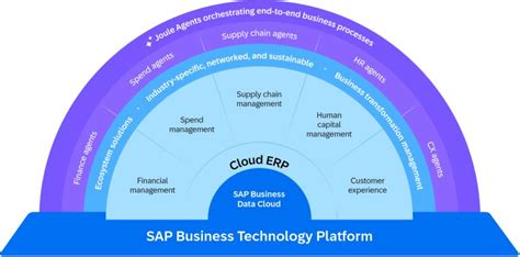 Sap Databricks Sap Asug Microsoft Excel Ecoservity Sapbdc Databricks Fabric Anupam