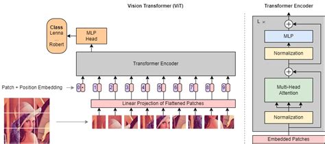 vit2