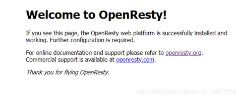 使用openresty（一） welcome to openresty csdn博客