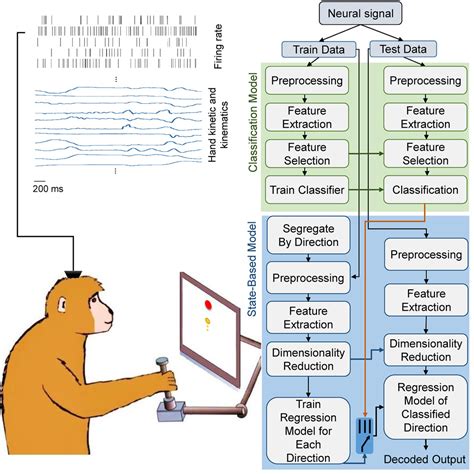 Decoding Hand Kinetics And Kinematics Using Somatosensory Cortex