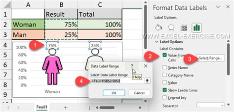 How To Create A Chart Man Woman In Excel