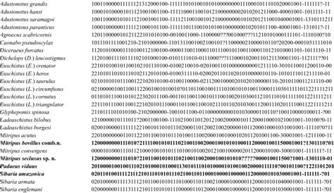 Morphological Partition Based On Bianchi Et Al 2017b Character Download Scientific Diagram