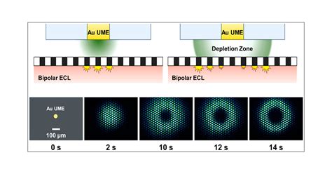 Electrochemiluminescence Ecl Based Electrochemical Imaging Using A