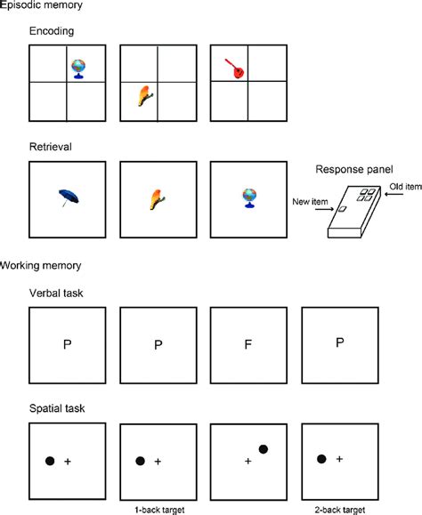 Events During The Encoding And Retrieval Phases Of The Source Memory